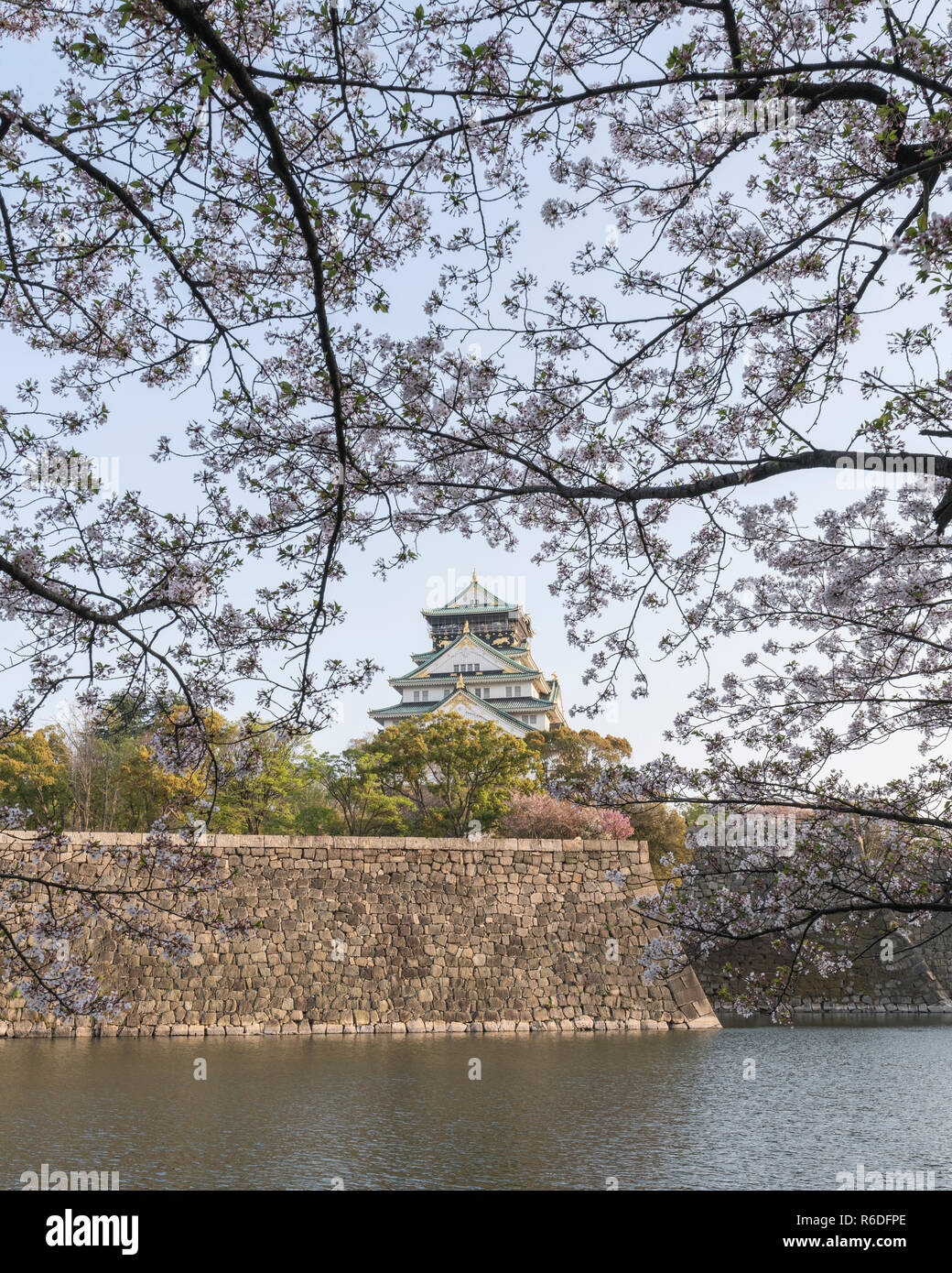 Osaka Castle and the outer moat during cherry blossom blooming season ...