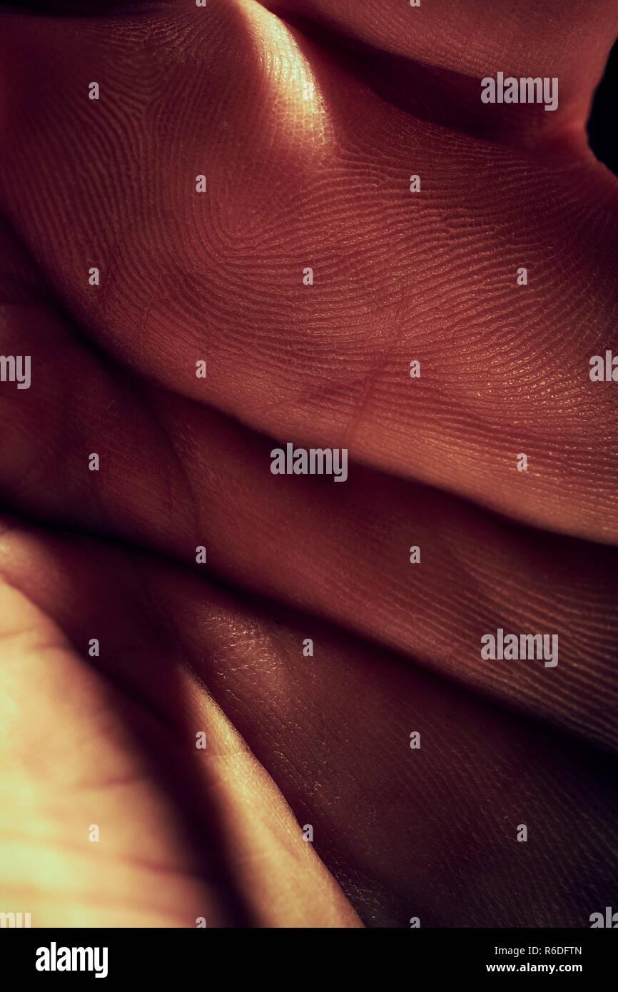 skin folds hand Stock Photo - Alamy