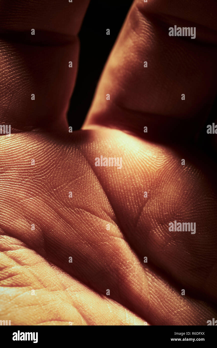 skin folds hand detail Stock Photo - Alamy
