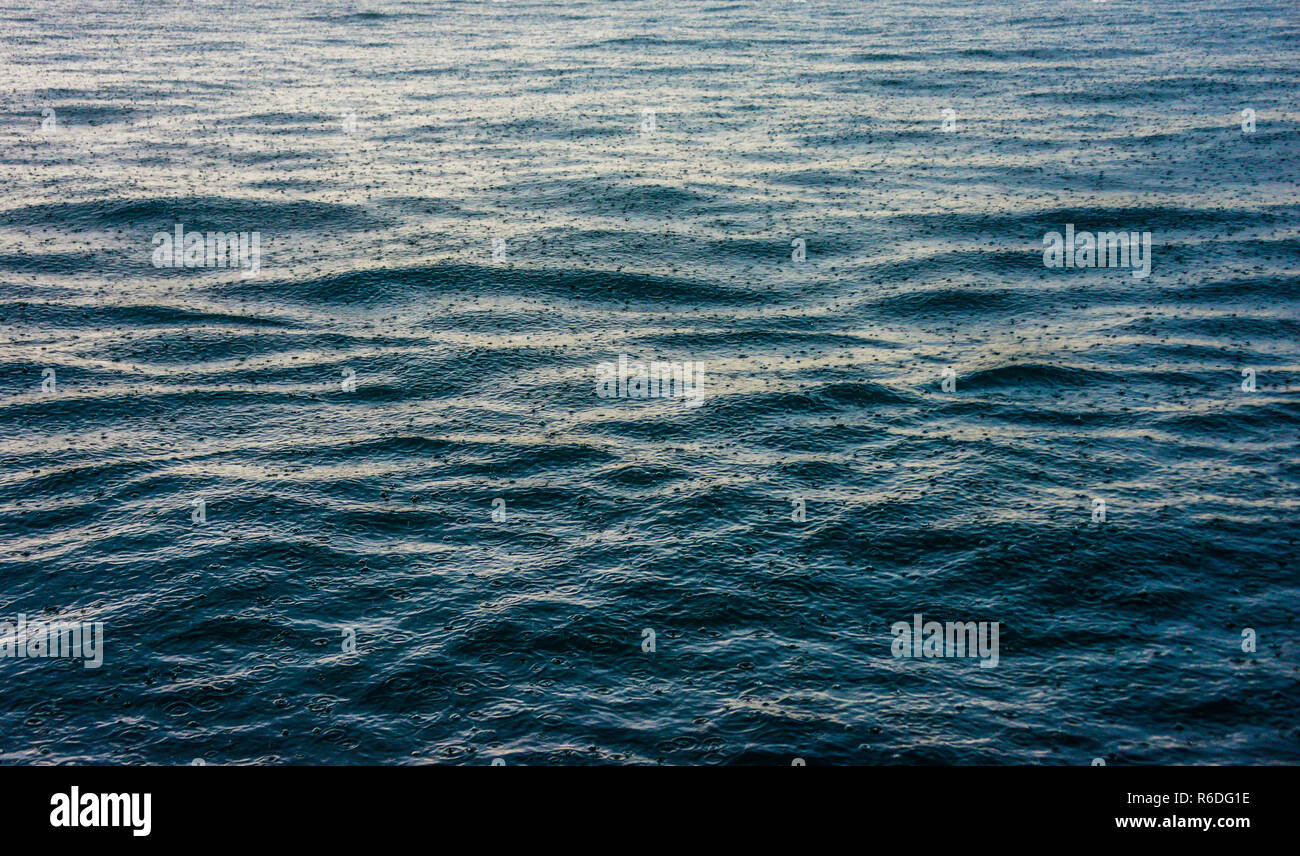 Rain drops on water hi-res stock photography and images - Alamy