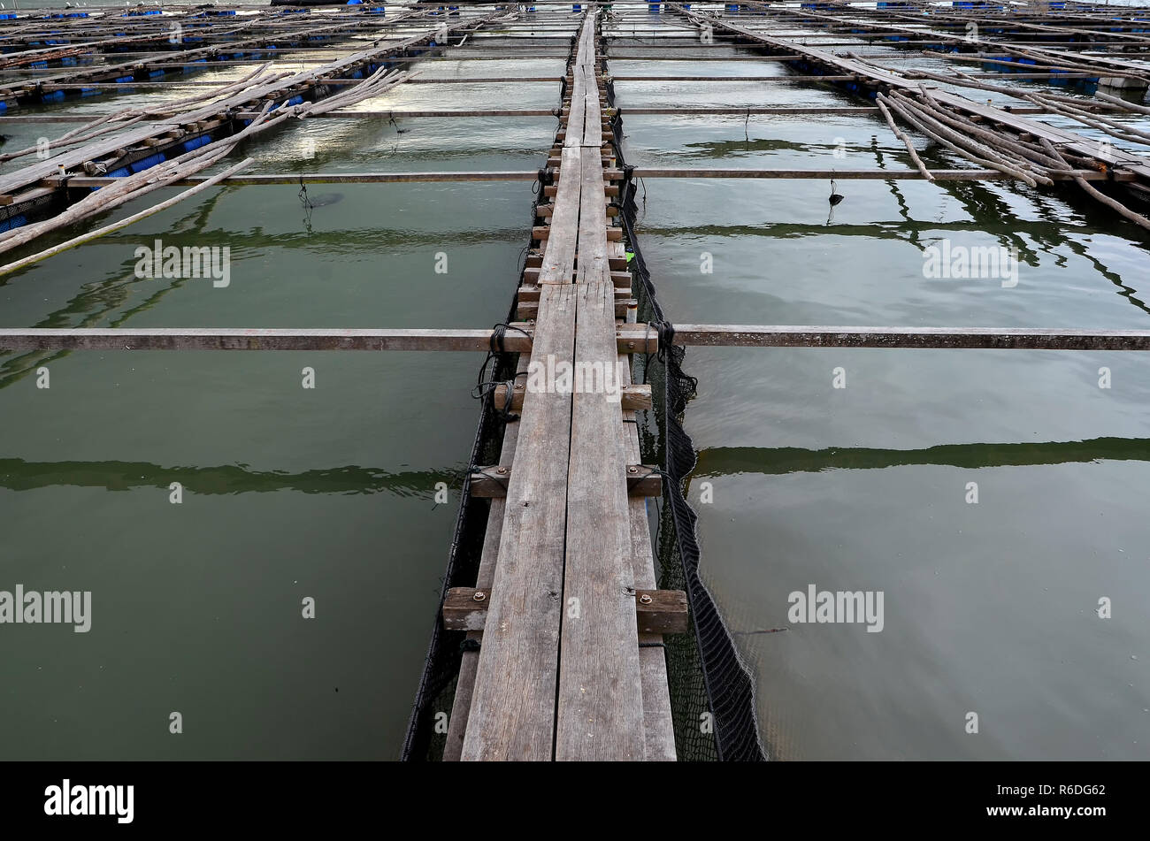 Offshore ocean open water fish farm in the tropics - Fish Farm in Asia ...