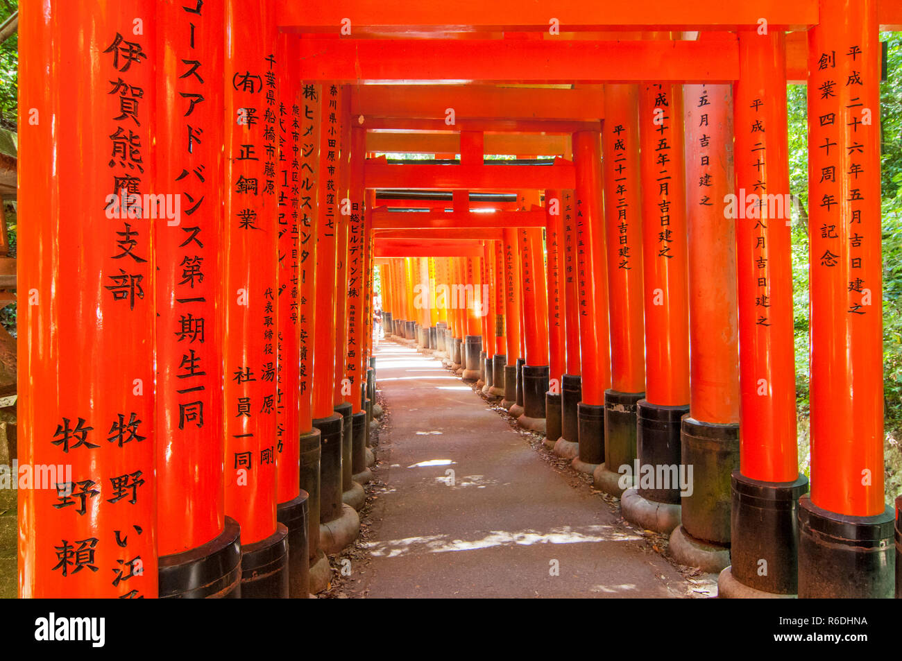 Torii Gates In Fushimi Inari Shrine, Kyoto, Japan Stock Photo - Alamy