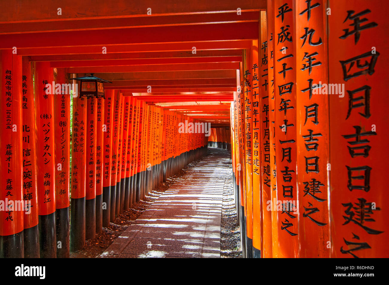 Torii Gates In Fushimi Inari Shrine, Kyoto, Japan Stock Photo - Alamy