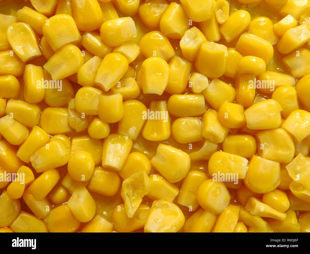 Hybrid seed corn hi-res stock photography and images - Alamy