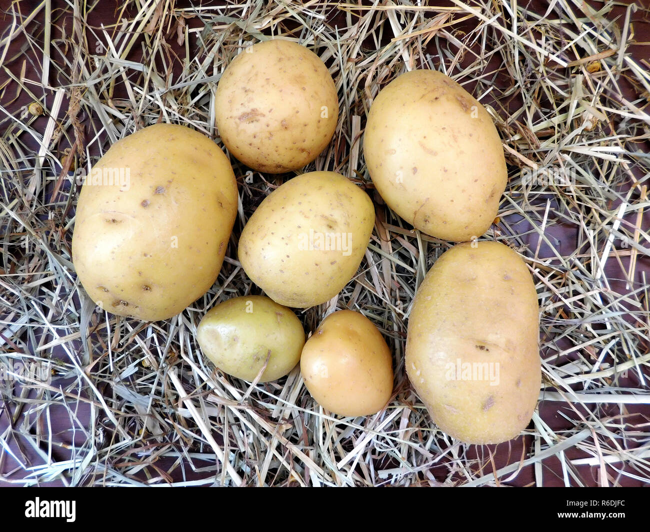 Potato cellar old hi-res stock photography and images - Alamy