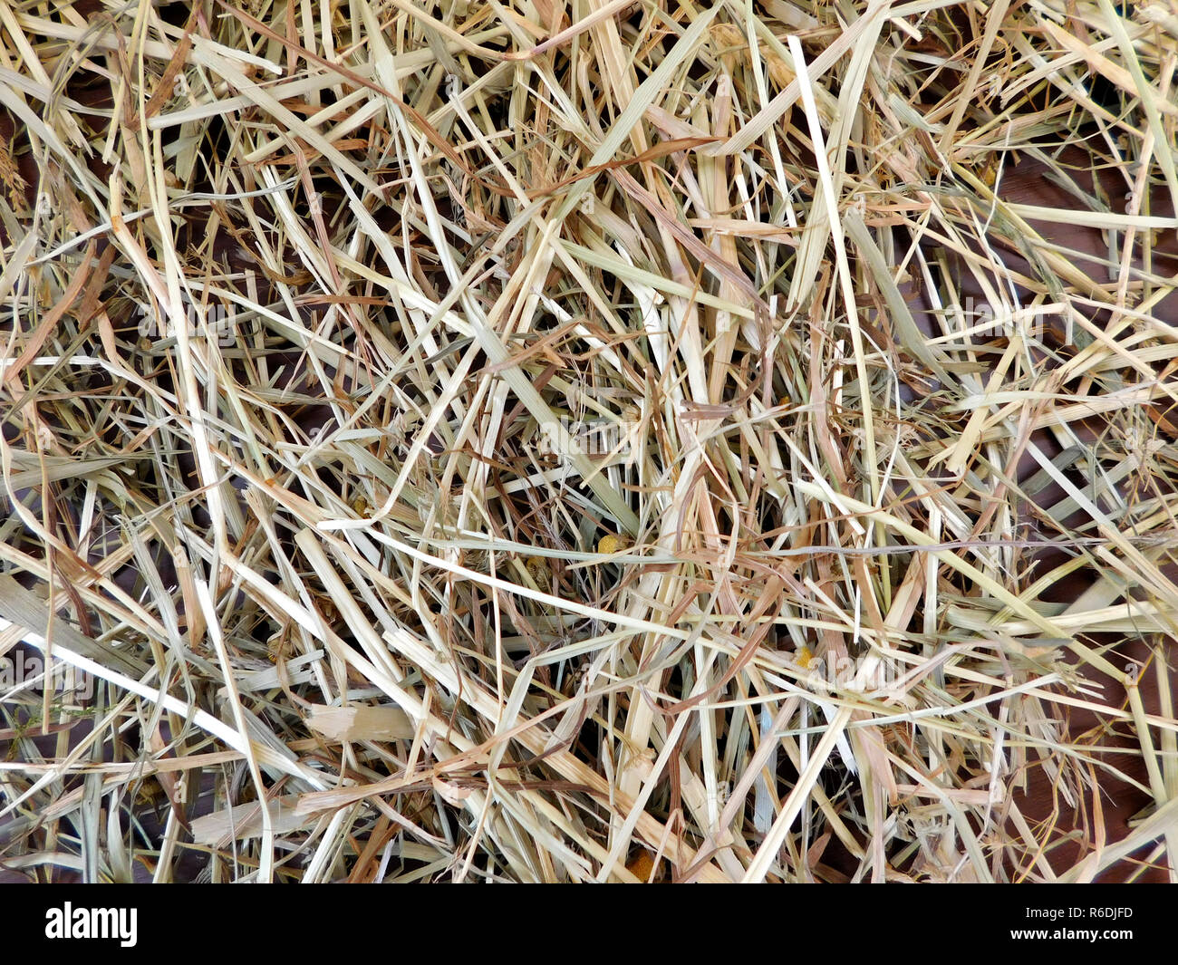 Dried grass mat texture hi-res stock photography and images - Alamy