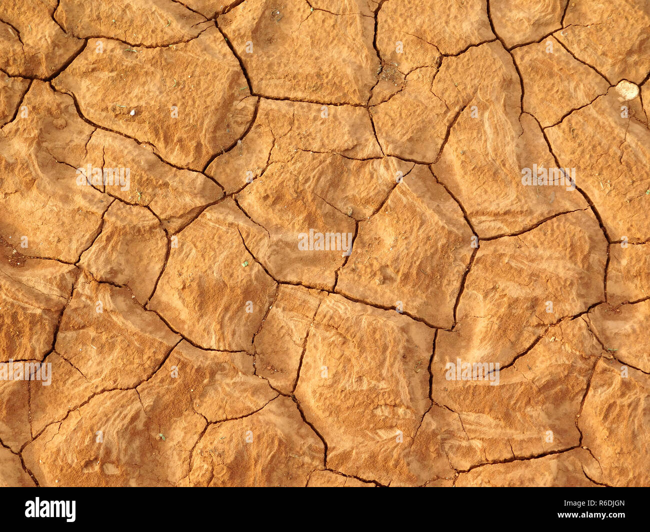 dry land texture Stock Photo - Alamy