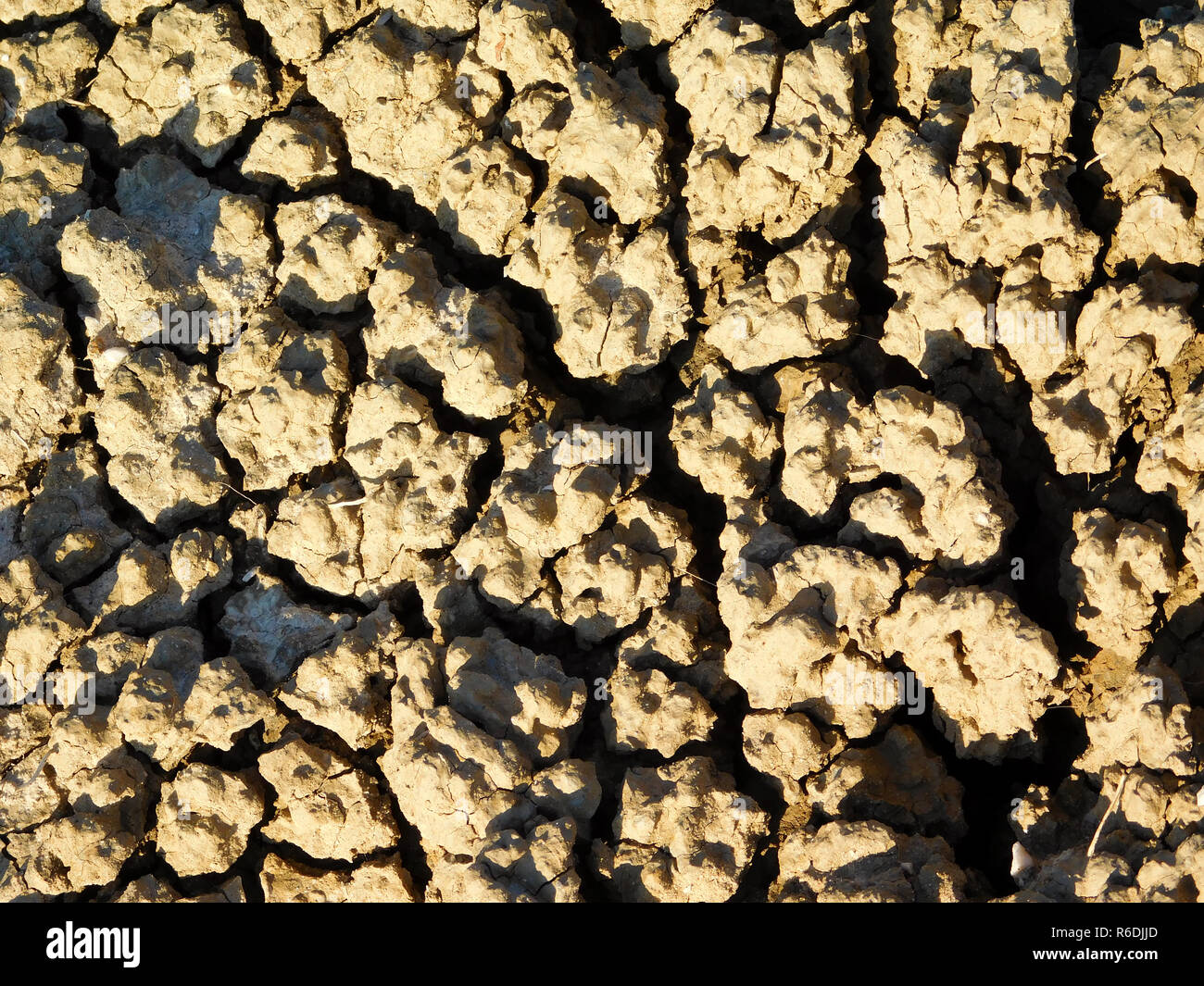 dry land texture Stock Photo - Alamy