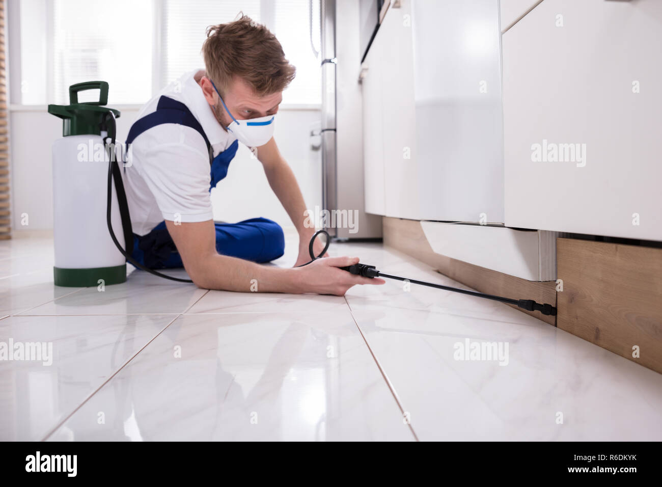 Exterminator Worker Spraying Insecticide Chemical Stock Photo - Alamy