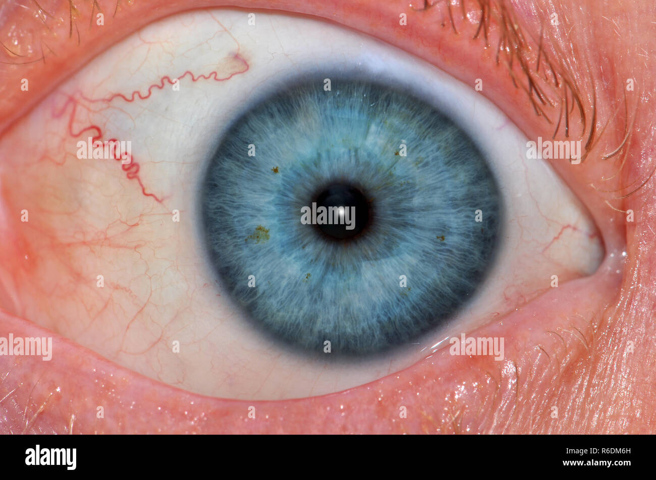 Eyesight masculine hi-res stock photography and images - Alamy