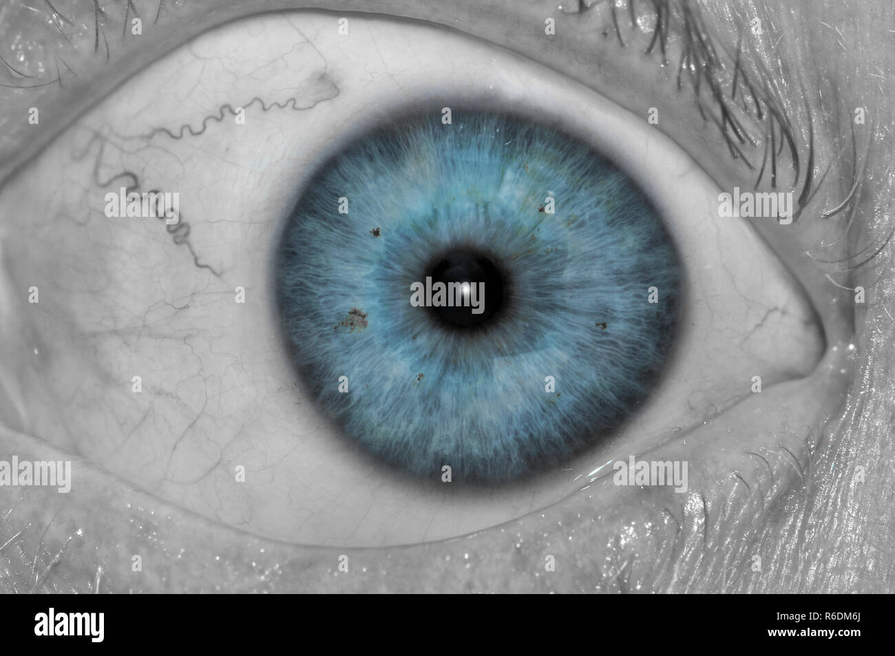 Eyesight masculine hi-res stock photography and images - Alamy
