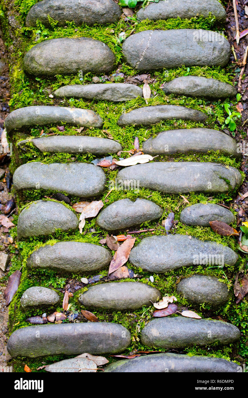 Cobble locking hi-res stock photography and images - Alamy