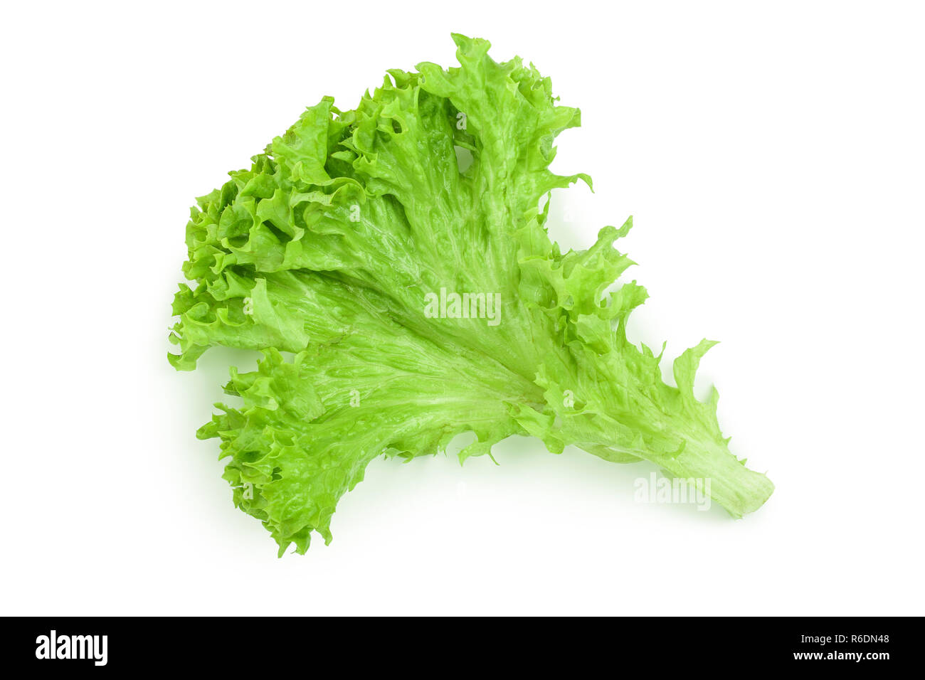 Close on one lettuce hi-res stock photography and images - Alamy