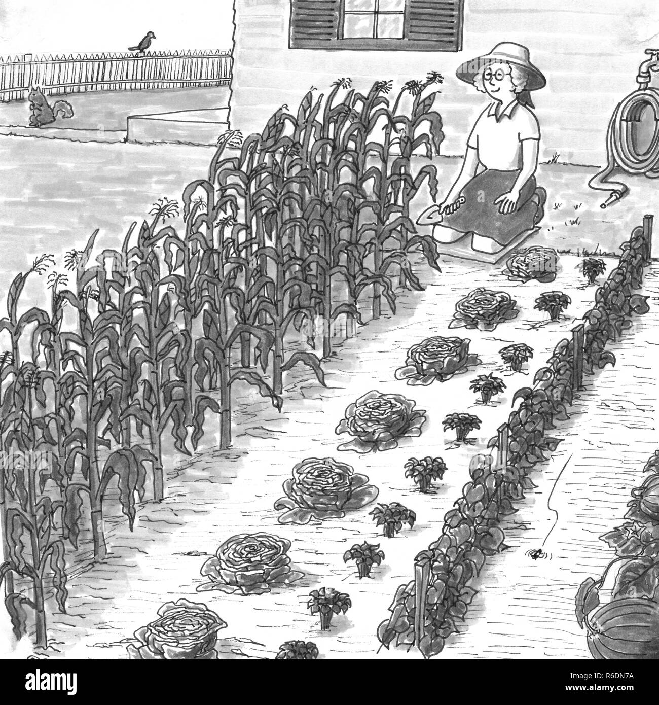 Growing home plants gardening Black and White Stock Photos & Images - Alamy