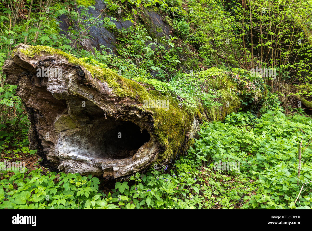 passer gorge in south tyrol Stock Photo - Alamy