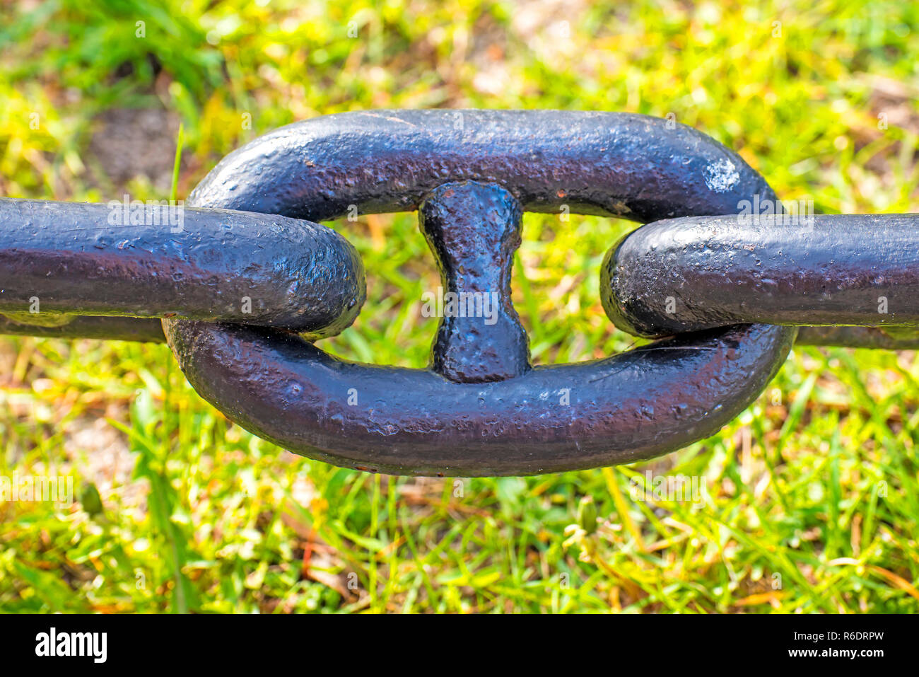 Anchor Chain In Green Grass Stock Photo - Alamy