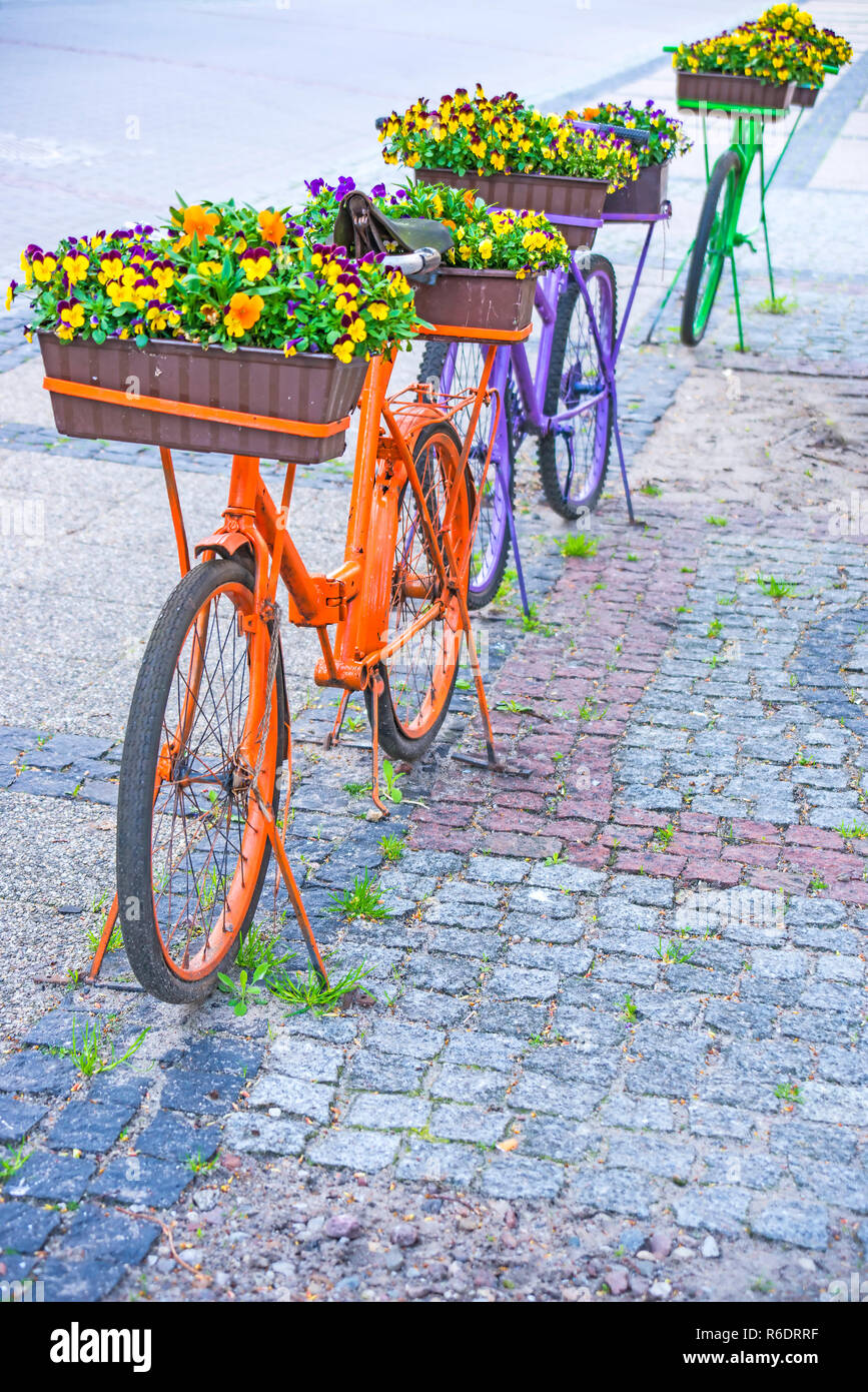 Bicycles and flowers hi-res stock photography and images - Alamy