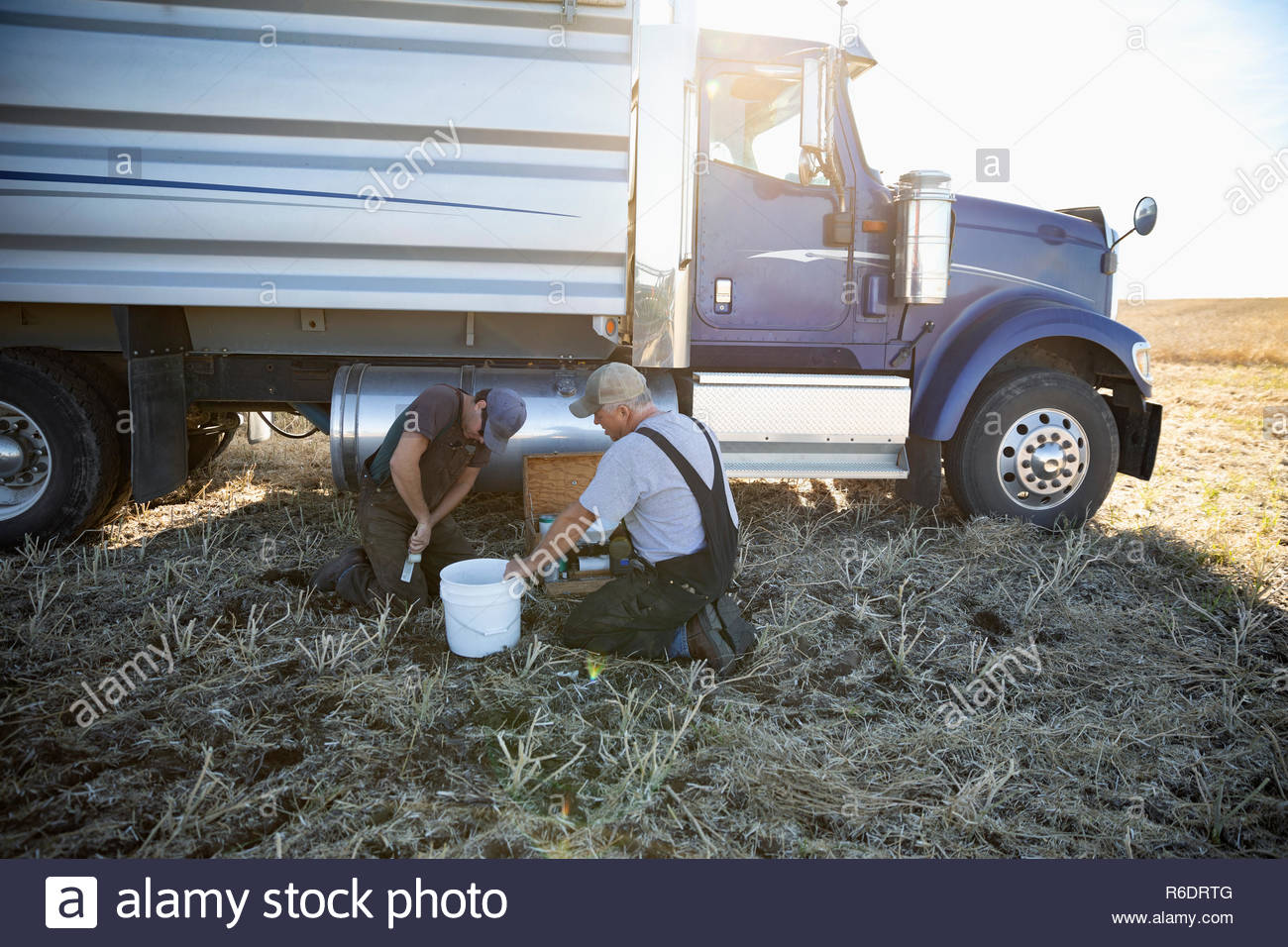 Farmers working next to trailer truck on farm Stock Photo - Alamy