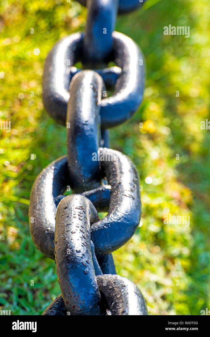 Anchor Chain In Green Grass Stock Photo - Alamy