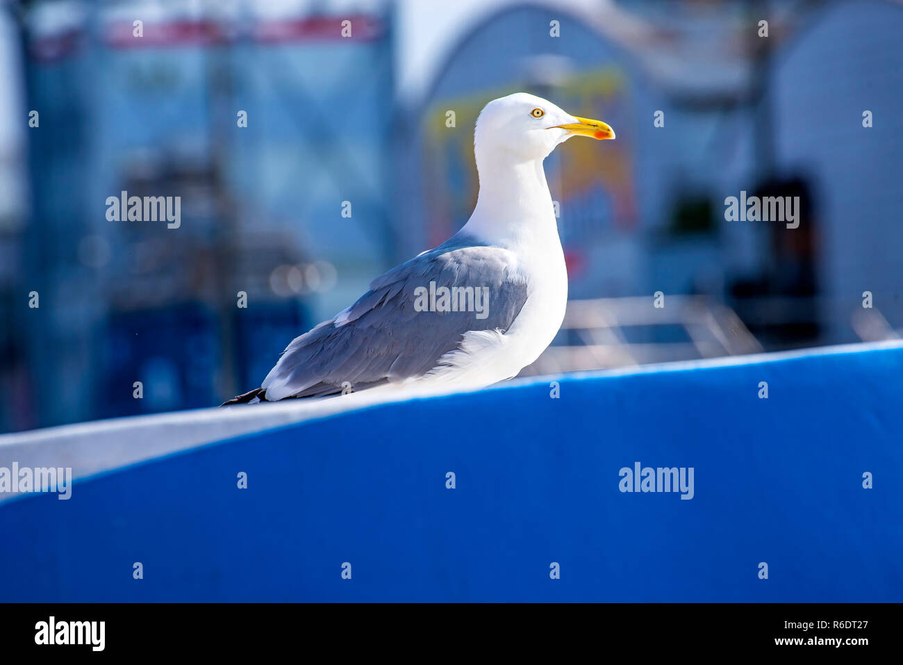 Blue trawler hi-res stock photography and images - Alamy