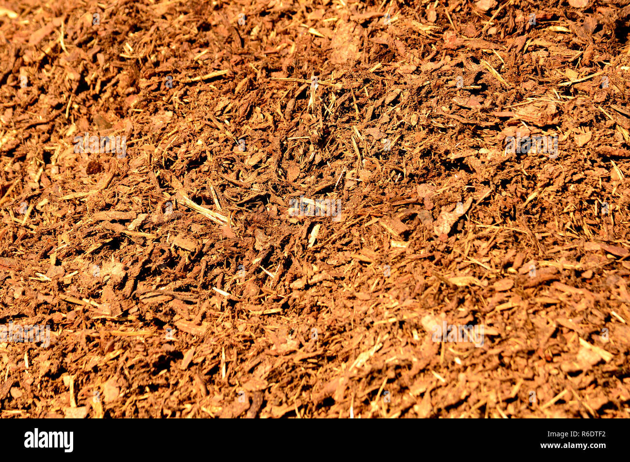 Bark compost hi-res stock photography and images - Alamy