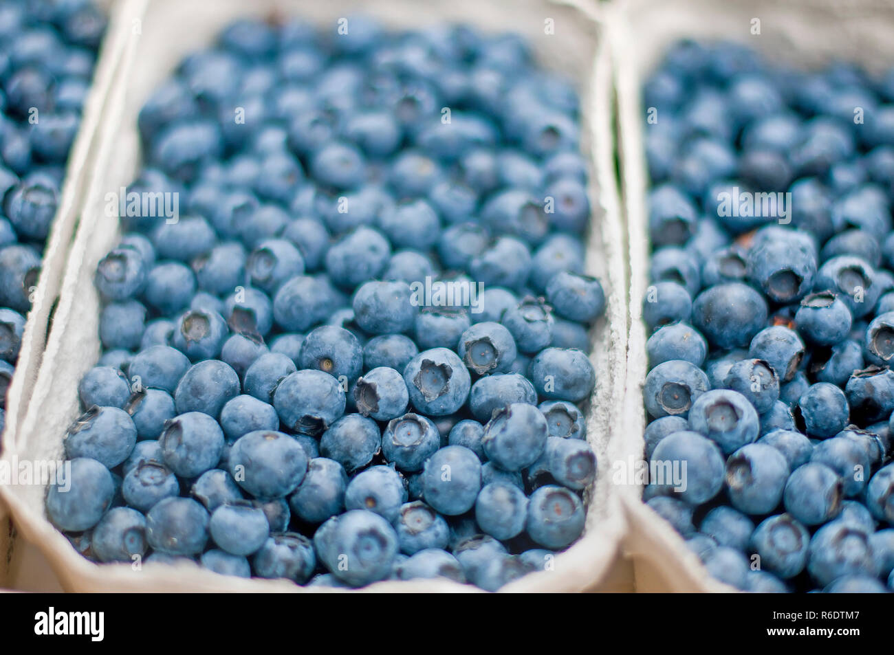 Blueberry fine art hi-res stock photography and images - Alamy
