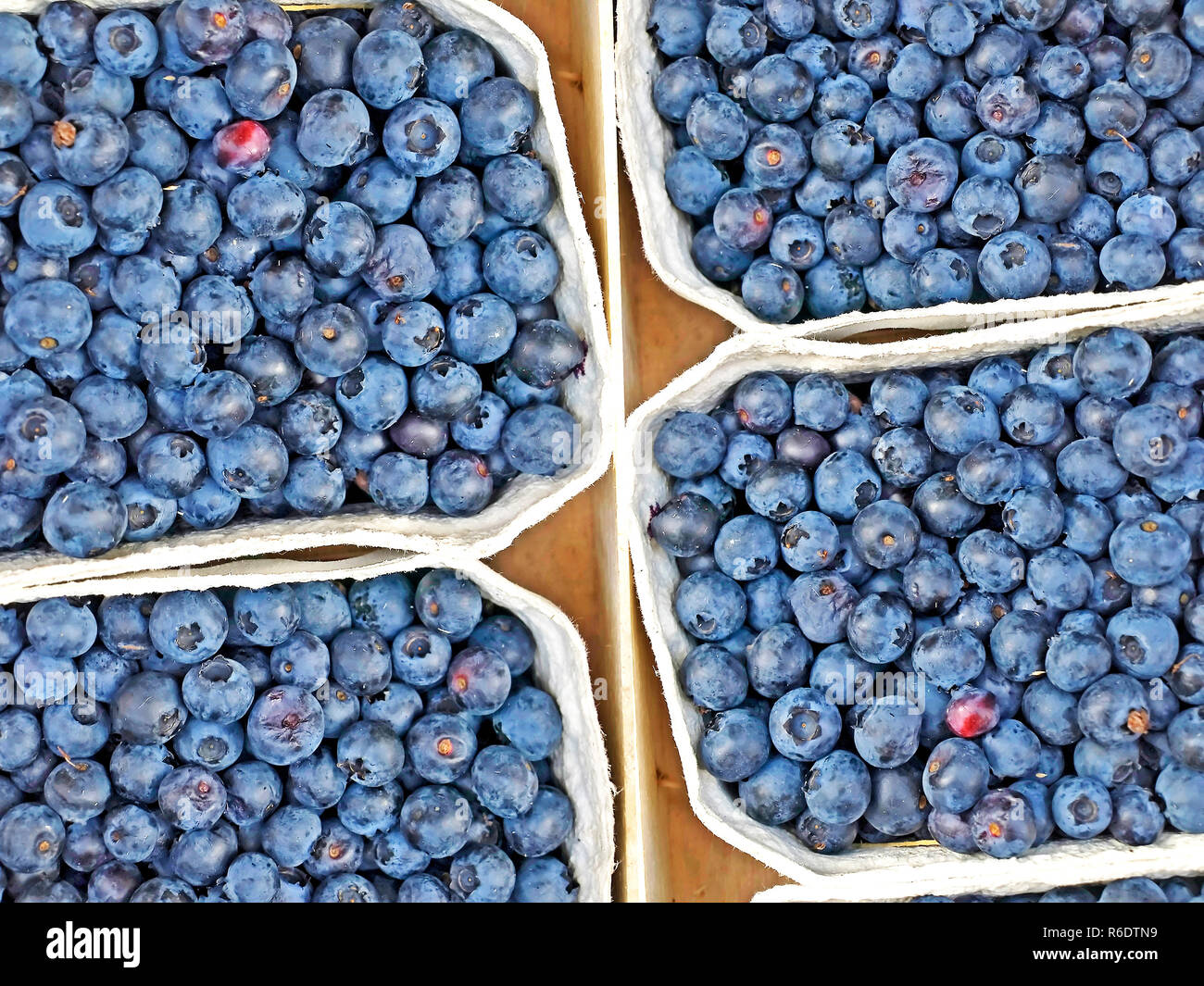 Packed blueberries hi-res stock photography and images - Alamy