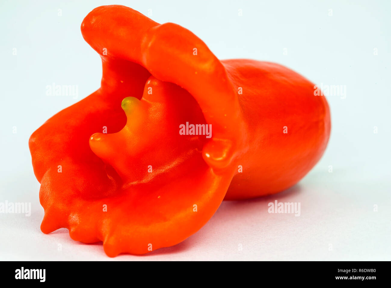 Chilli crown hi-res stock photography and images - Alamy
