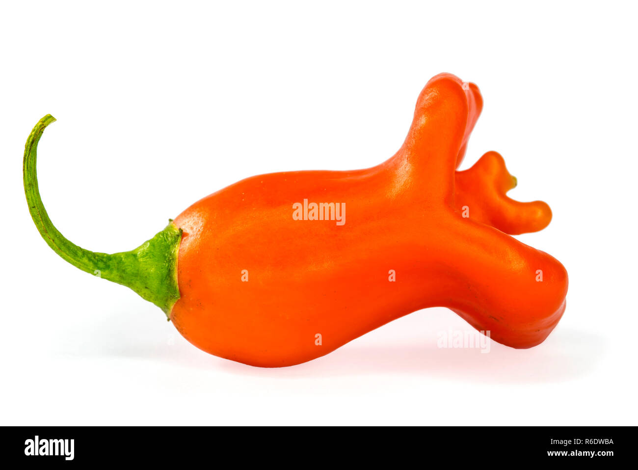 Cap chili pepper hi-res stock photography and images - Alamy