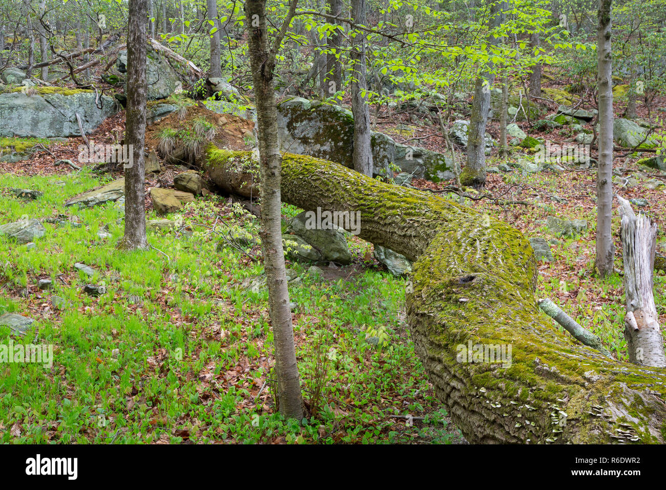 Leathermans loop hi-res stock photography and images - Alamy