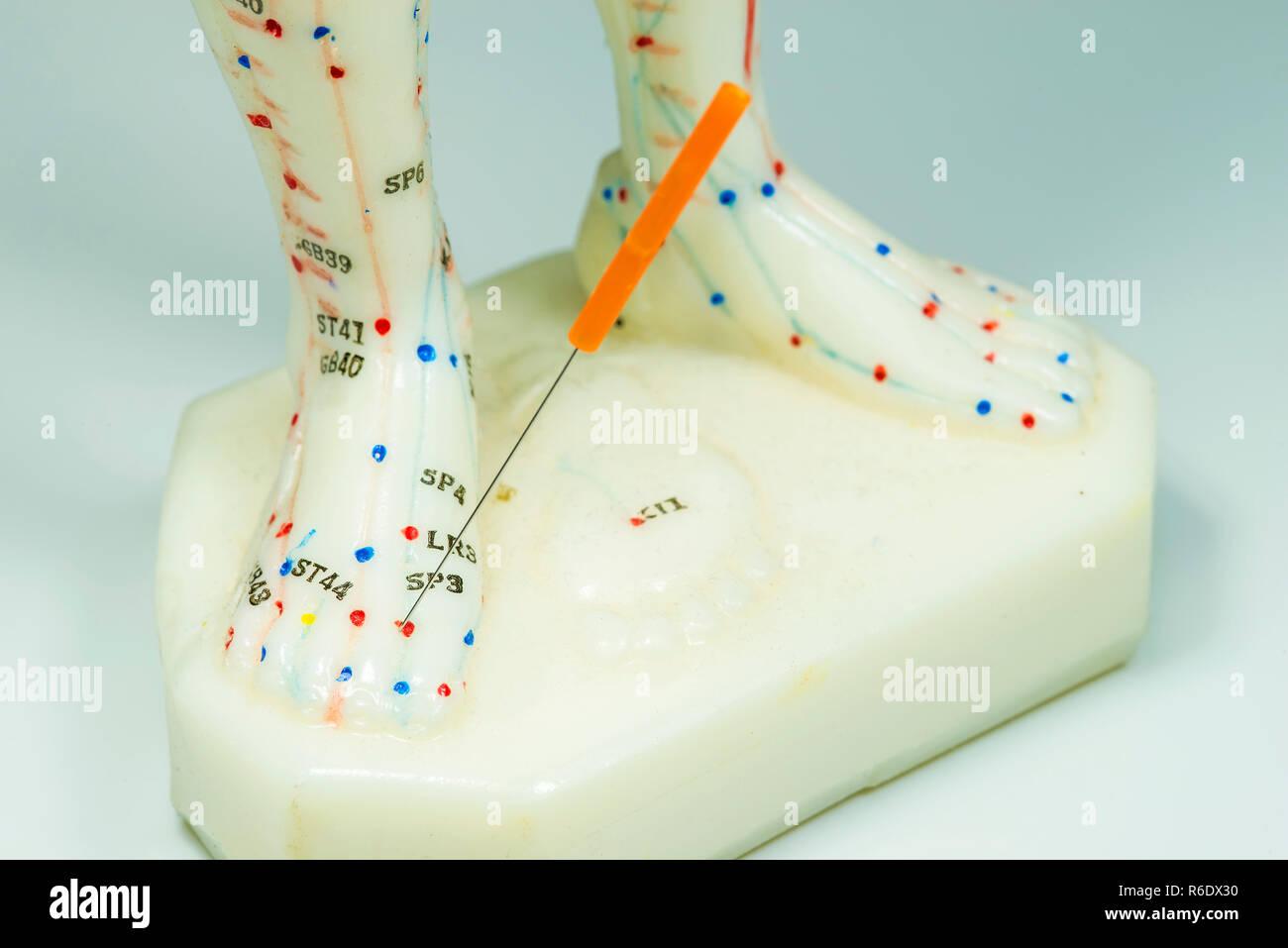 Acupuncture Demonstration On Feet Model Stock Photo - Alamy