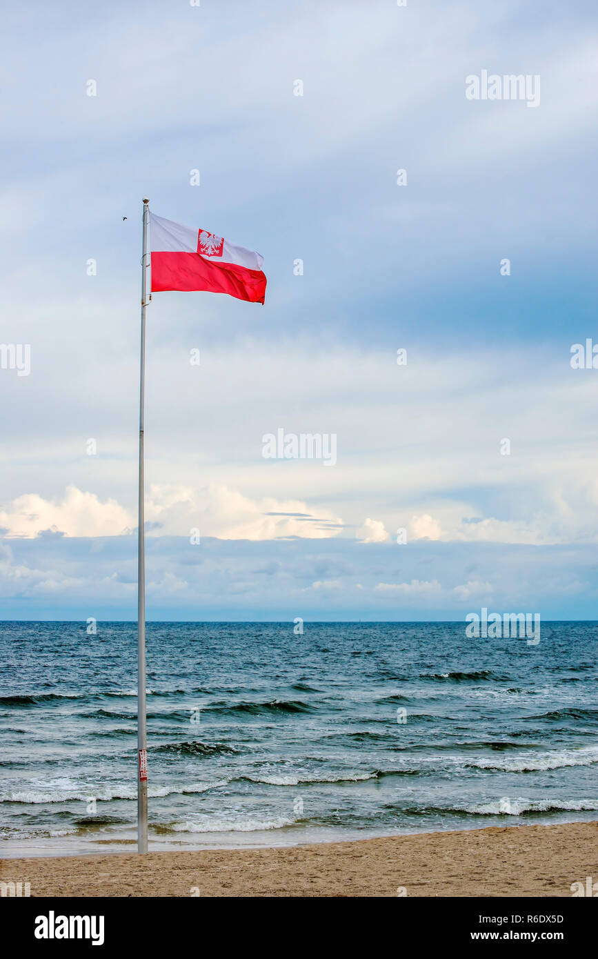 Windy poland flag hi-res stock photography and images - Alamy