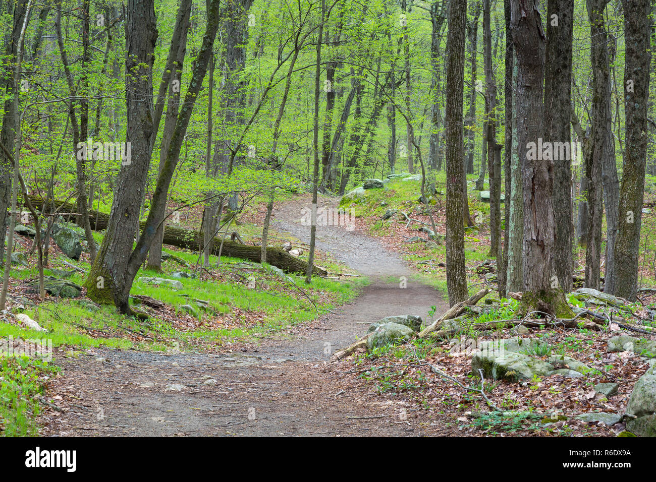 Leathermans loop hi-res stock photography and images - Alamy