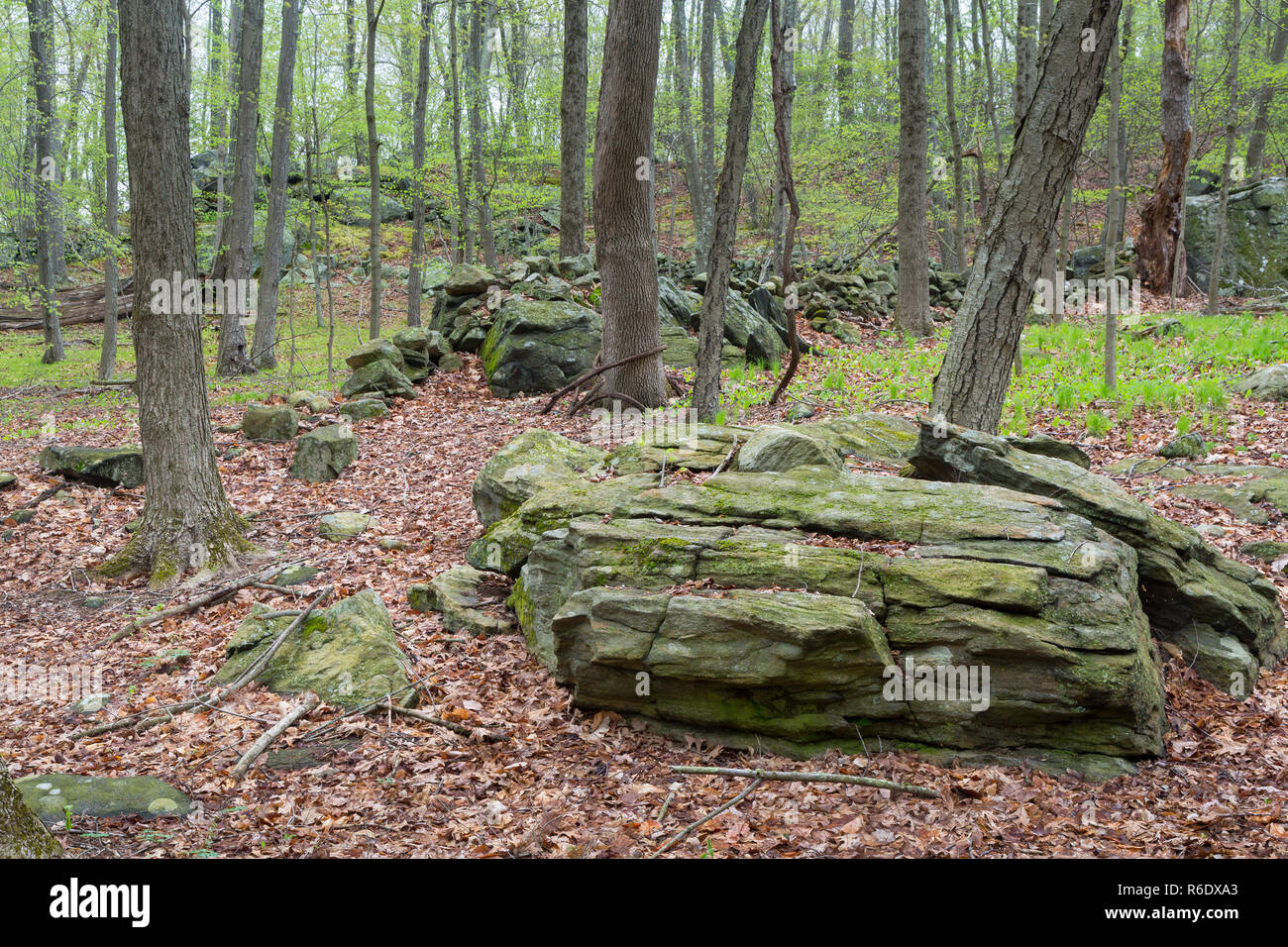 A series of rocks and boulders, some naturally occuring with others ...