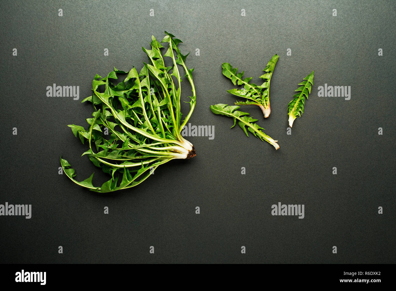Dandelion root leaves flower hi-res stock photography and images - Alamy