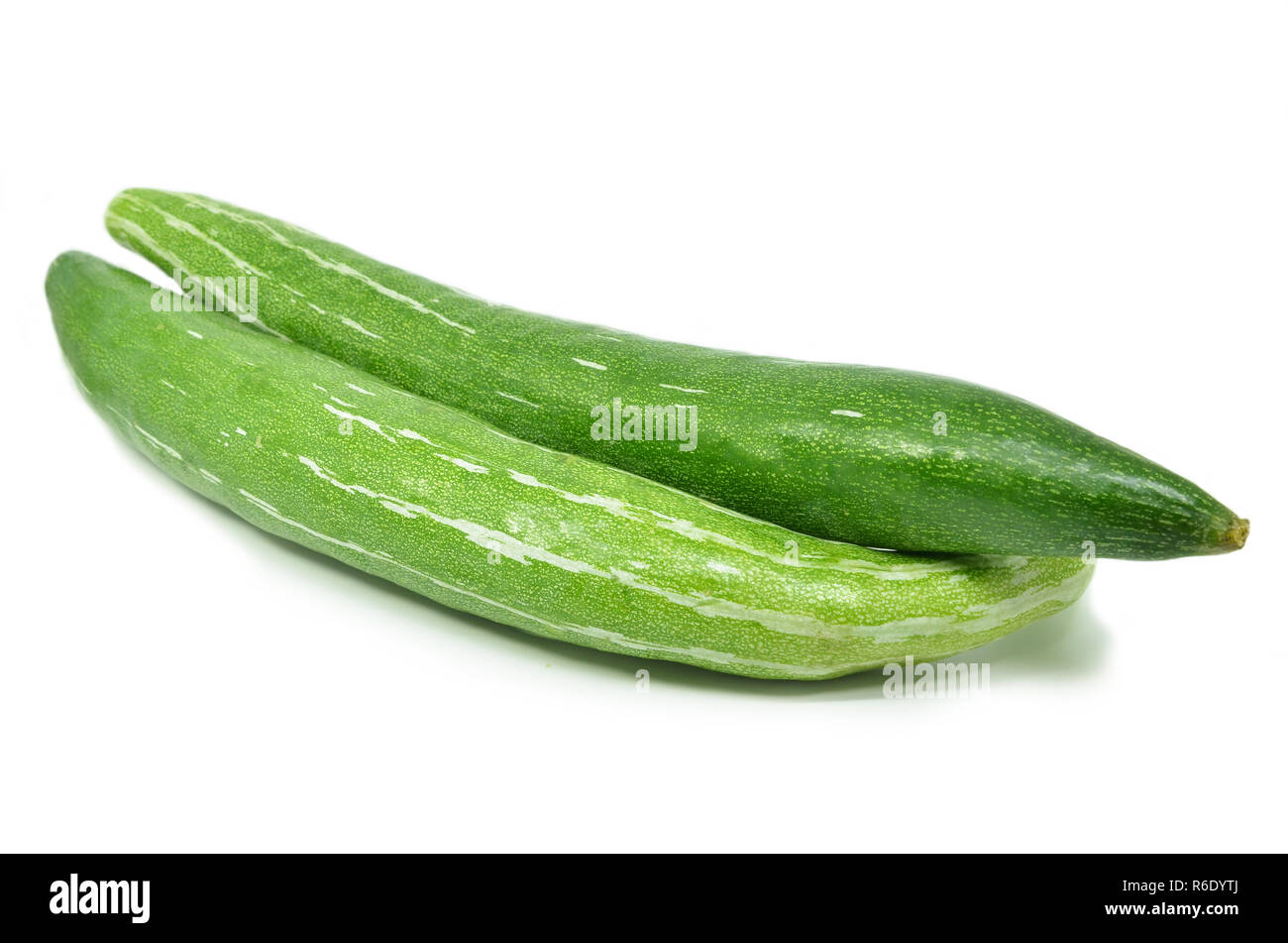 Serpent gourd plant Cut Out Stock Images & Pictures - Alamy