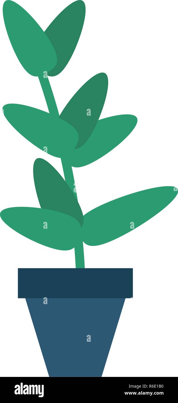 Plant pot isolated Stock Vector Image & Art - Alamy