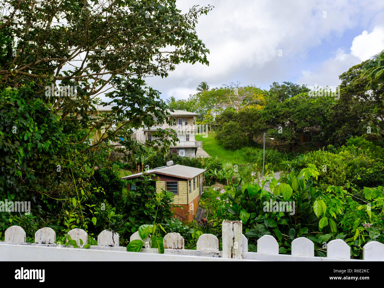 A walk through the lush jungle and limestone cliffs of Welchman Hall ...