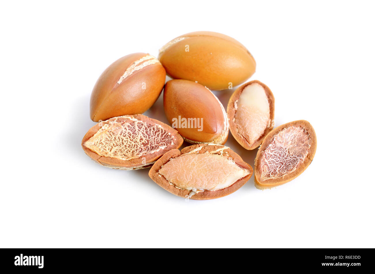 Argan seed Isolated on white background Stock Photo - Alamy