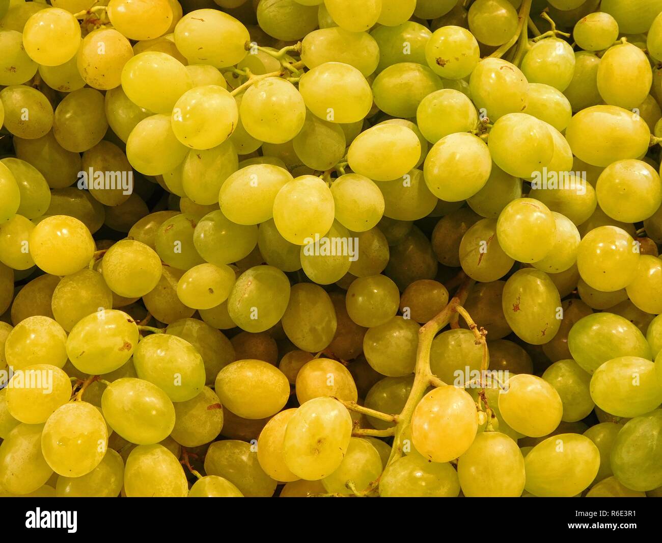 Bunch small large grapes hi-res stock photography and images - Alamy