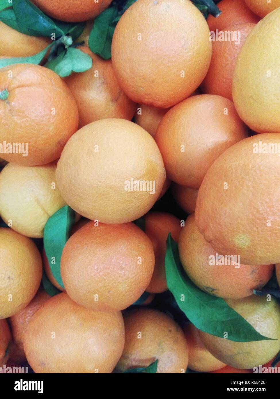 Orang stem hi-res stock photography and images - Alamy