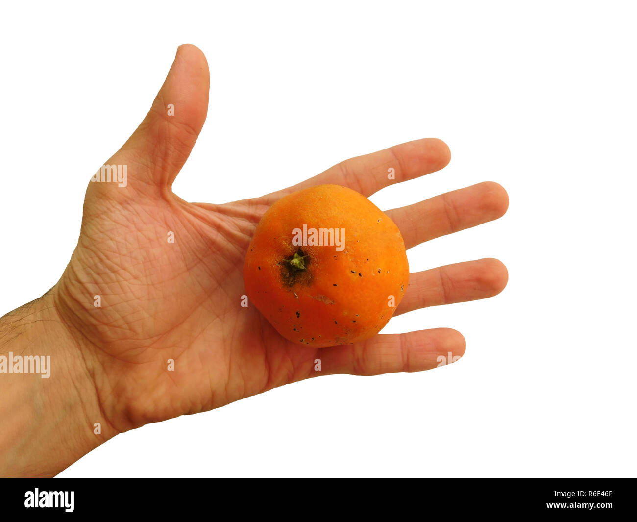 Hand holding orange segment hi-res stock photography and images - Alamy