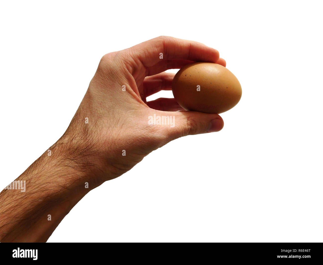 egg in hand Stock Photo - Alamy