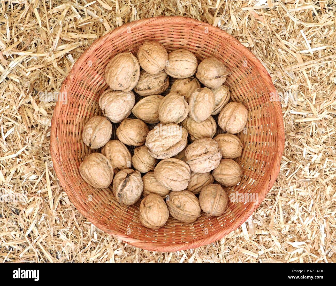 walnuts with shell Stock Photo - Alamy