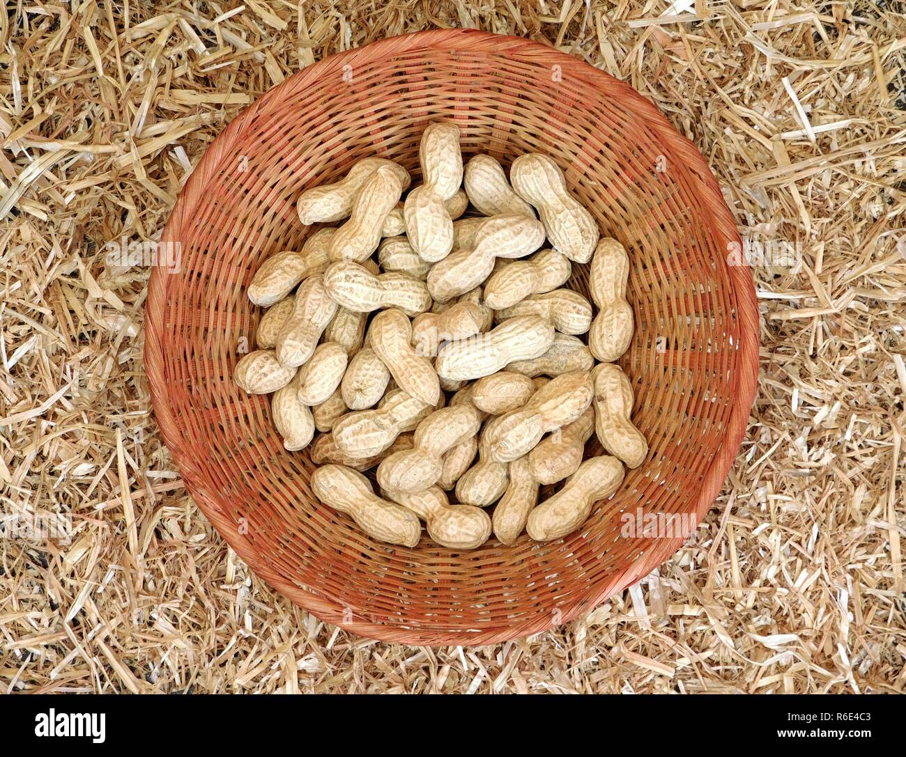 Peeled ripe peanuts hi-res stock photography and images - Alamy