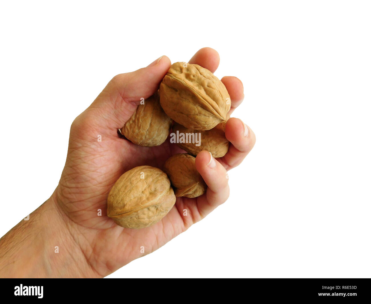 walnuts with shell in hand Stock Photo - Alamy