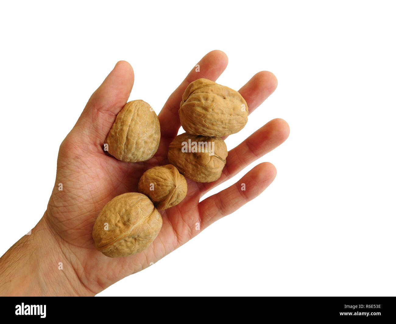 walnuts with shell in hand Stock Photo - Alamy
