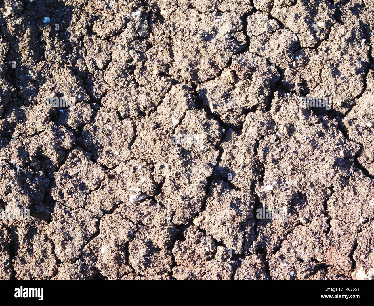 dry land texture Stock Photo - Alamy