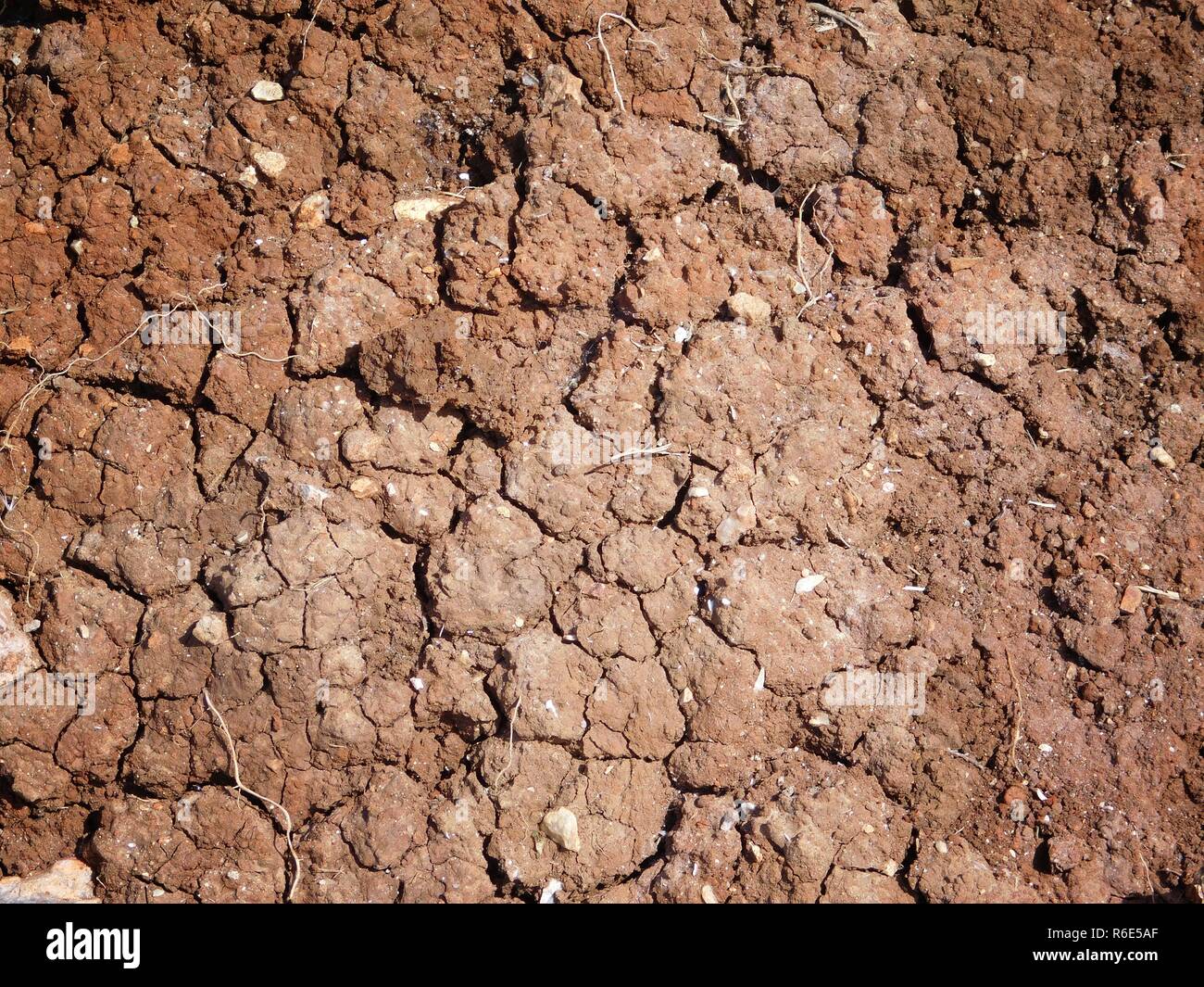 dry land texture Stock Photo - Alamy