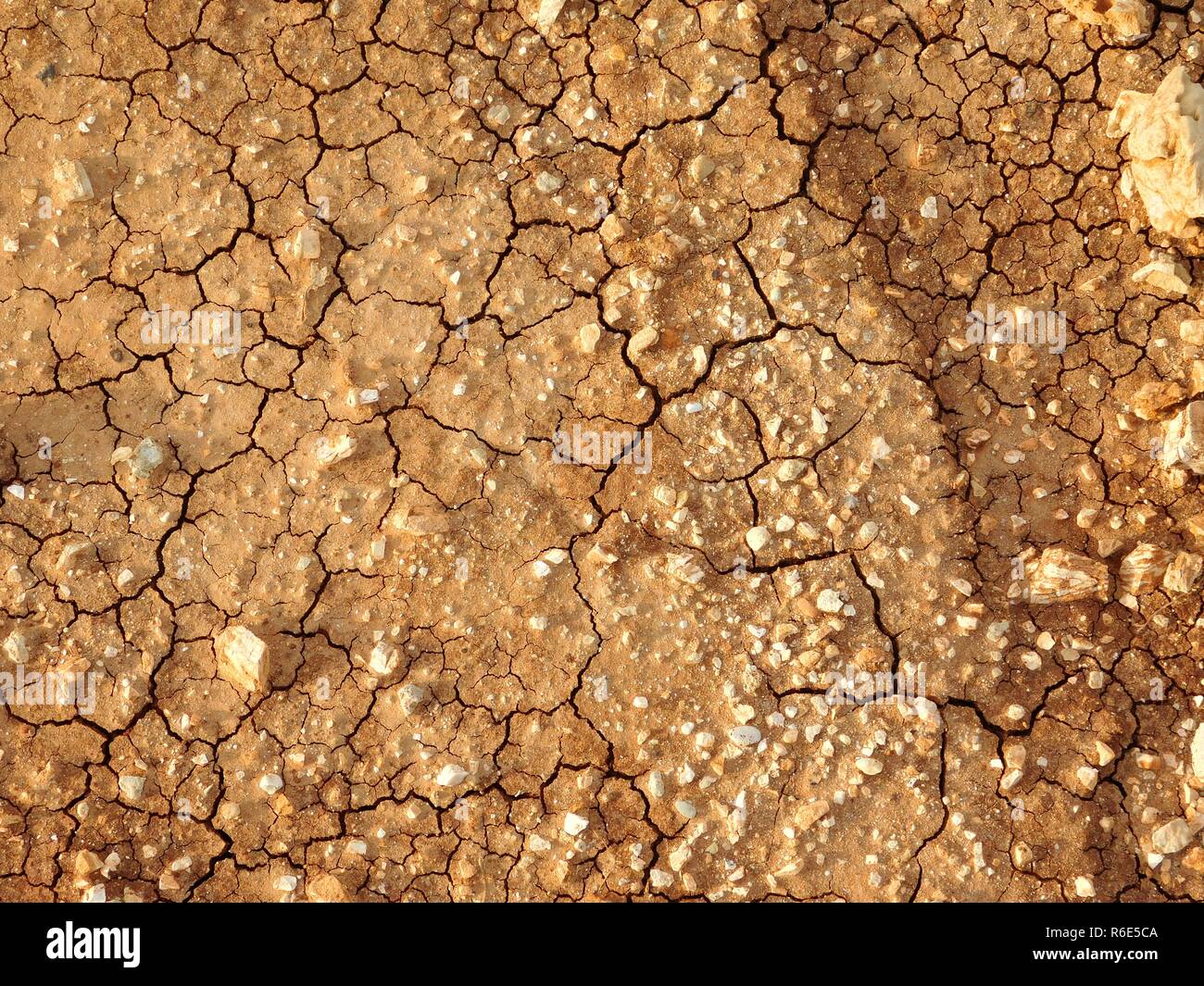 dry land texture Stock Photo - Alamy